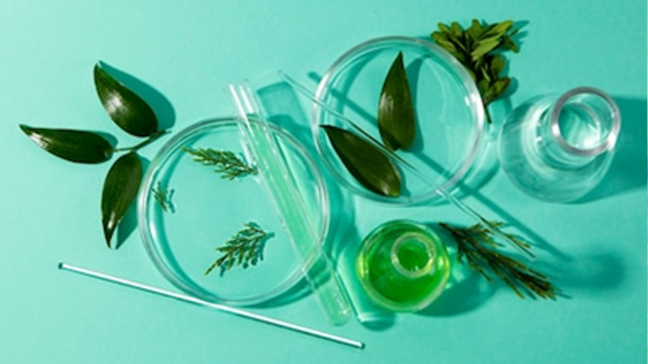 Cosmetics Manufacturing in the Global Market: Overcoming Challenges and ...