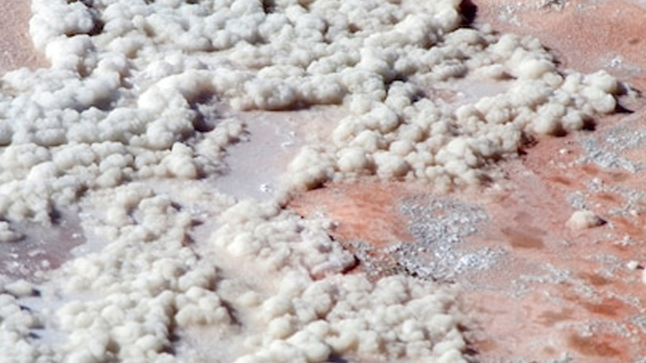 Demystifying Vitamin C: Sodium Ascorbyl Phosphate vs. L-Ascorbic Acid